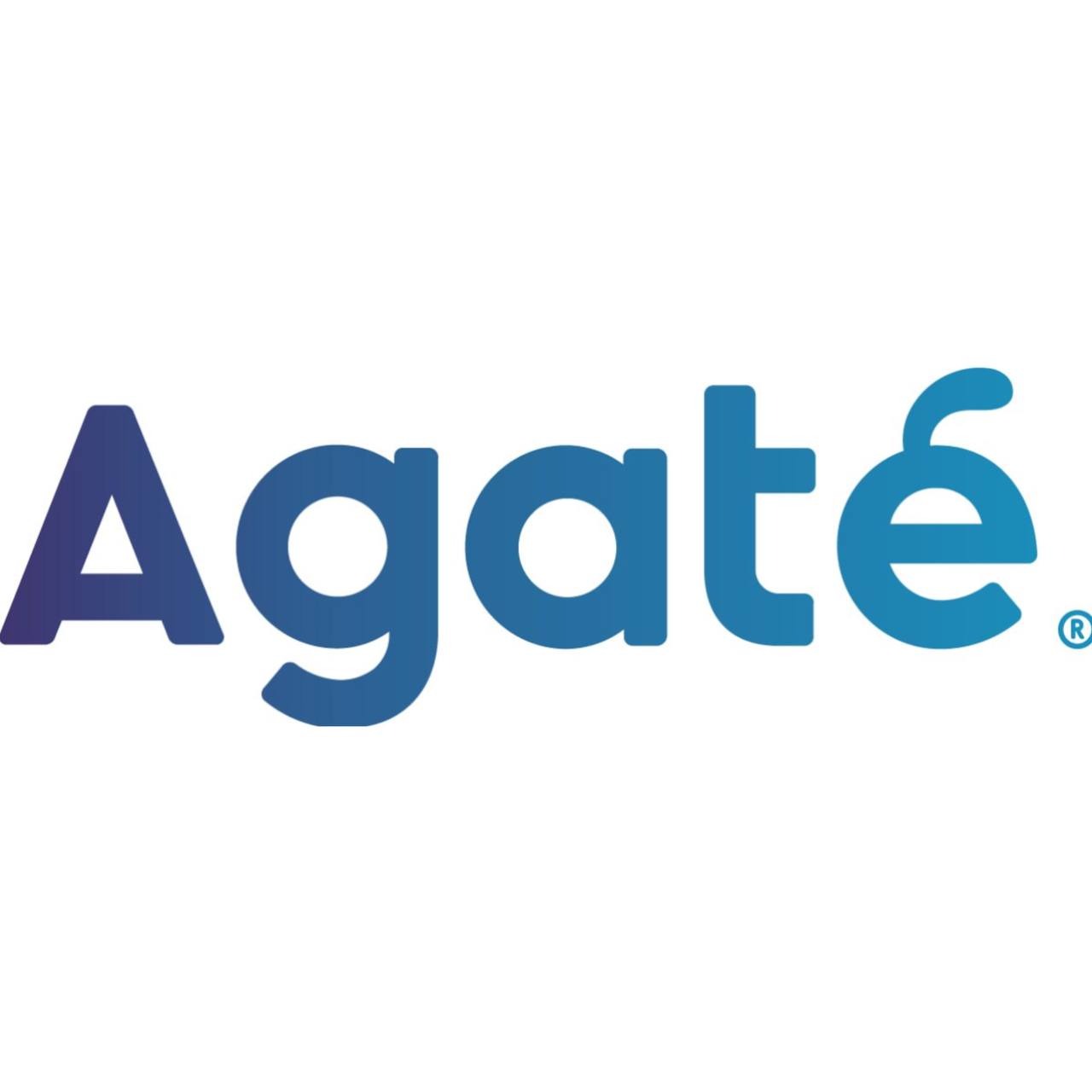 PT Agate International - Dicoding Jobs