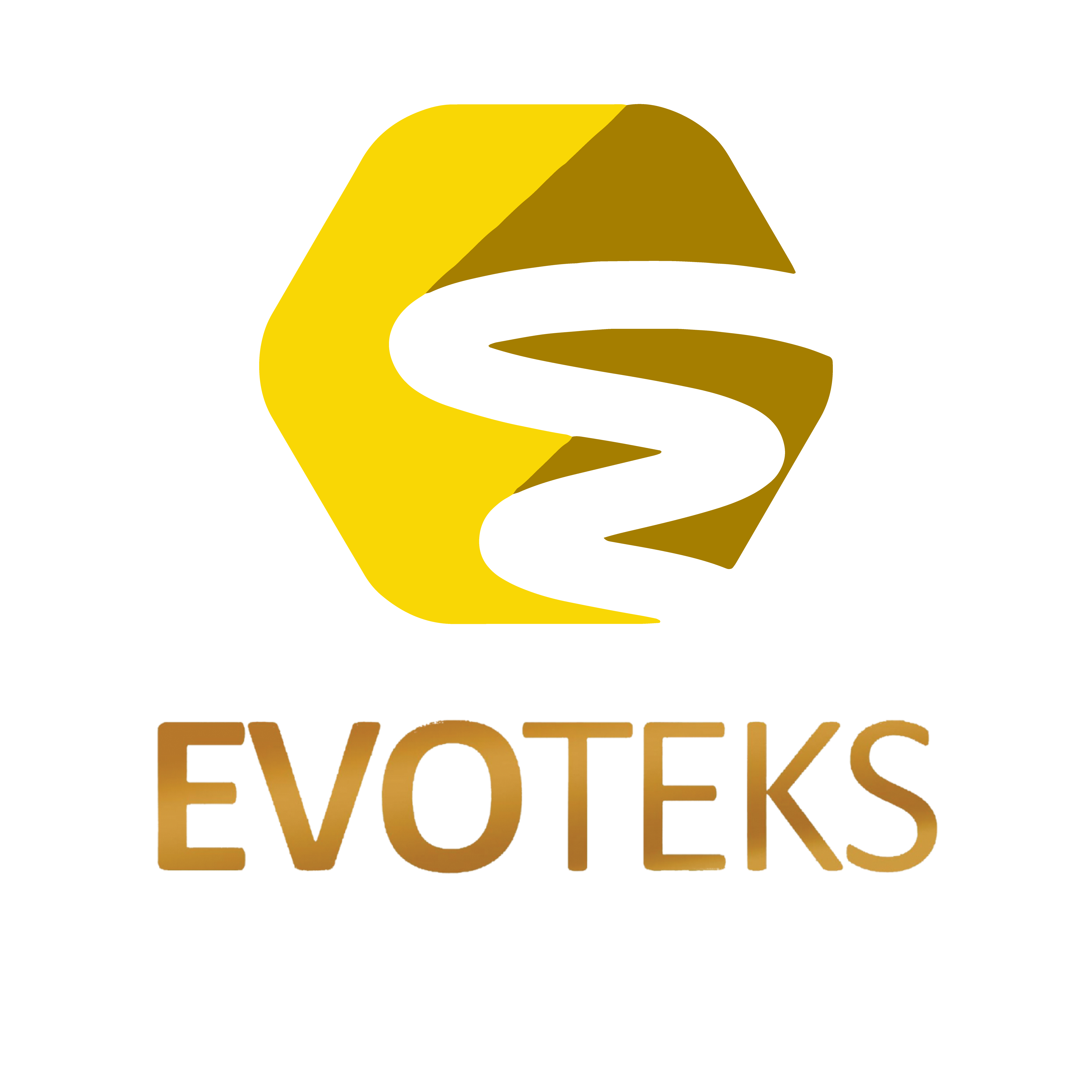 PT Evolusi Teknologi Solusi (EVOTEKS) - Software Quality Assurance ...